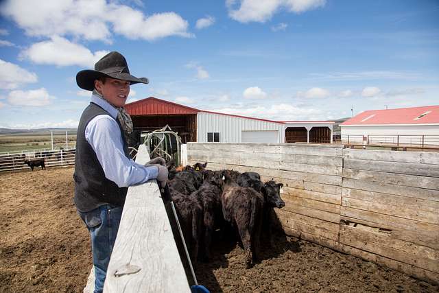 U.S. livestock: Cattle futures dip as Brazilian beef tariffs lifted ...